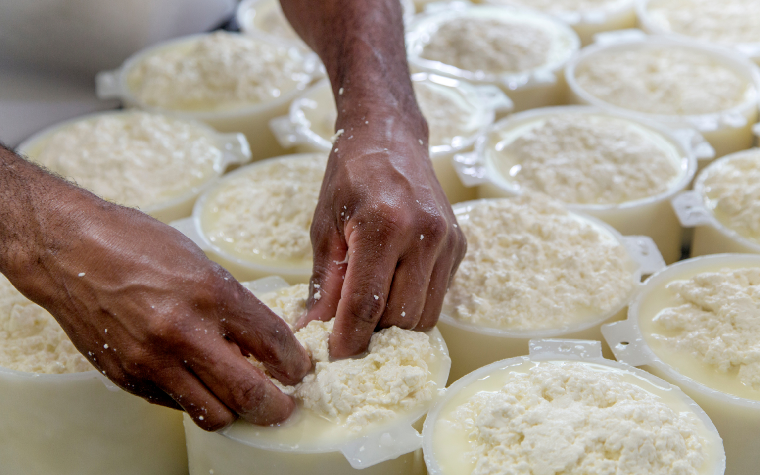 Come si fa il formaggio? Scopriamo assieme tutti i passaggi!