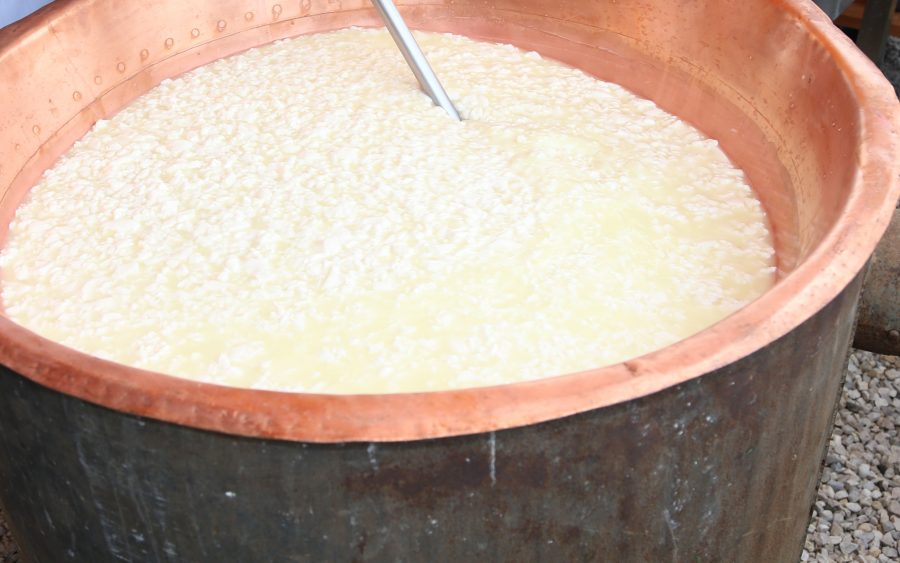 Come si fa il Formaggio? Il Caglio, tutto ciò che devi sapere