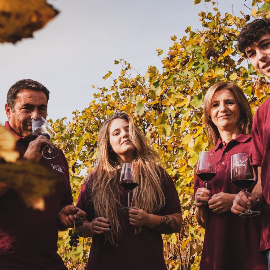 Cadia, Wine Producer in Roddi - Find out more & Book your Visit